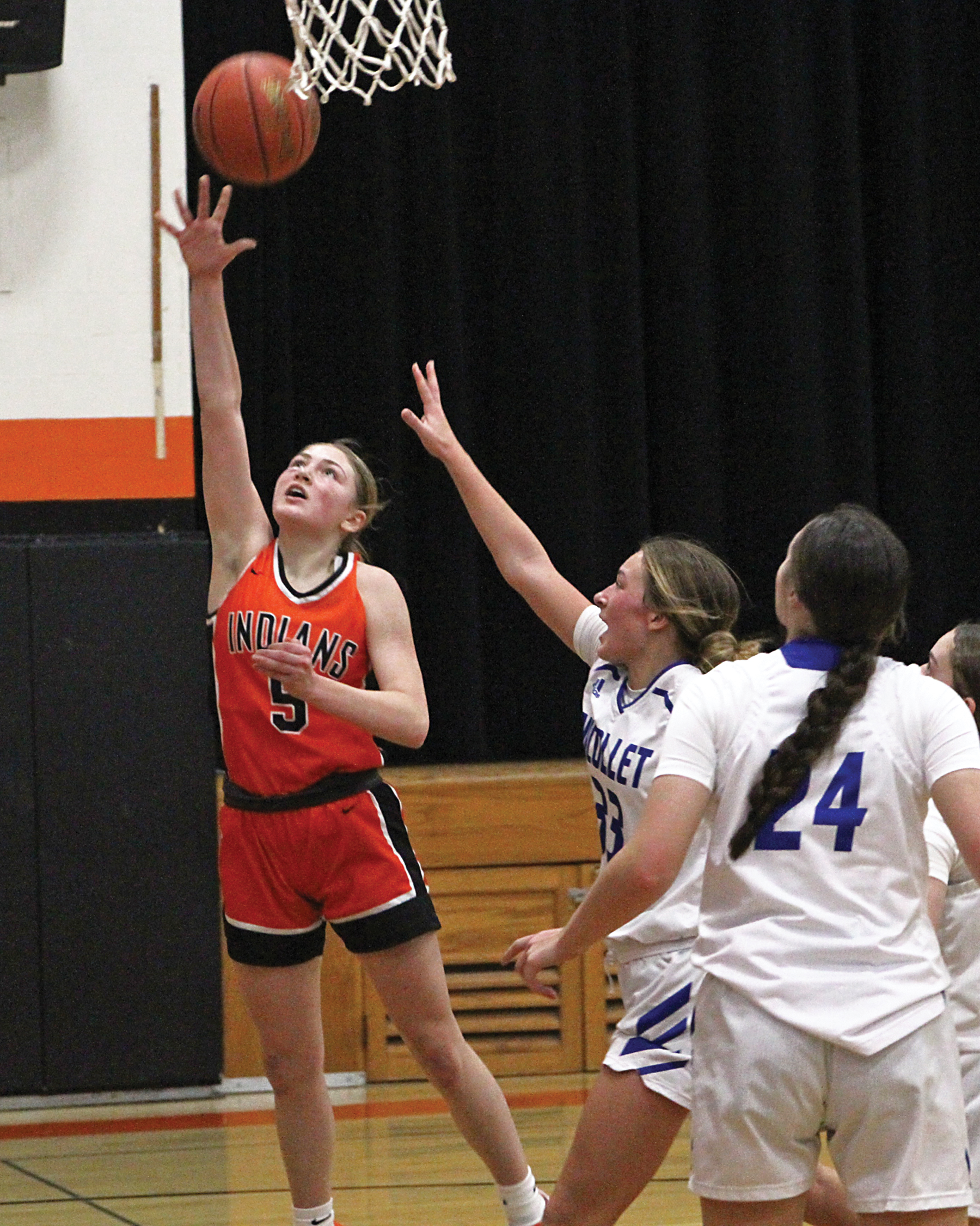 Sleepy Eye girls rally in big 2nd half to down Nicollet | News, Sports ...